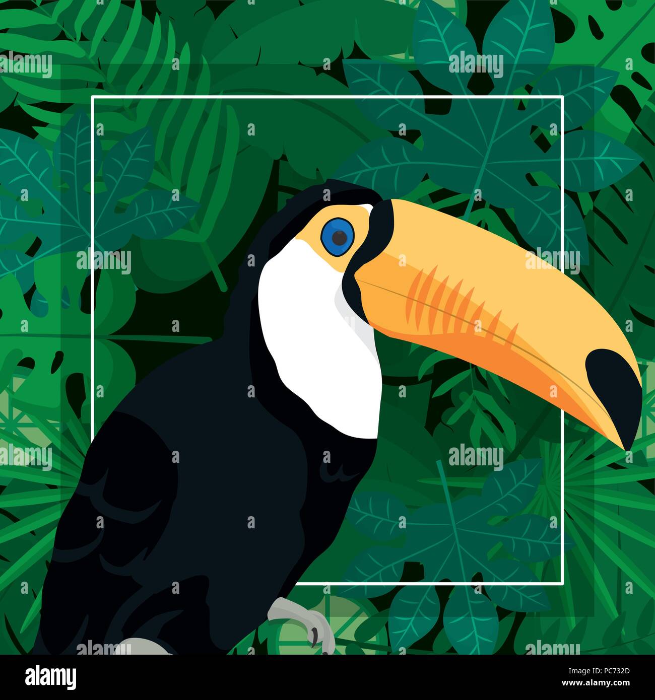 Exotic bird cartoon Stock Vector Image & Art - Alamy