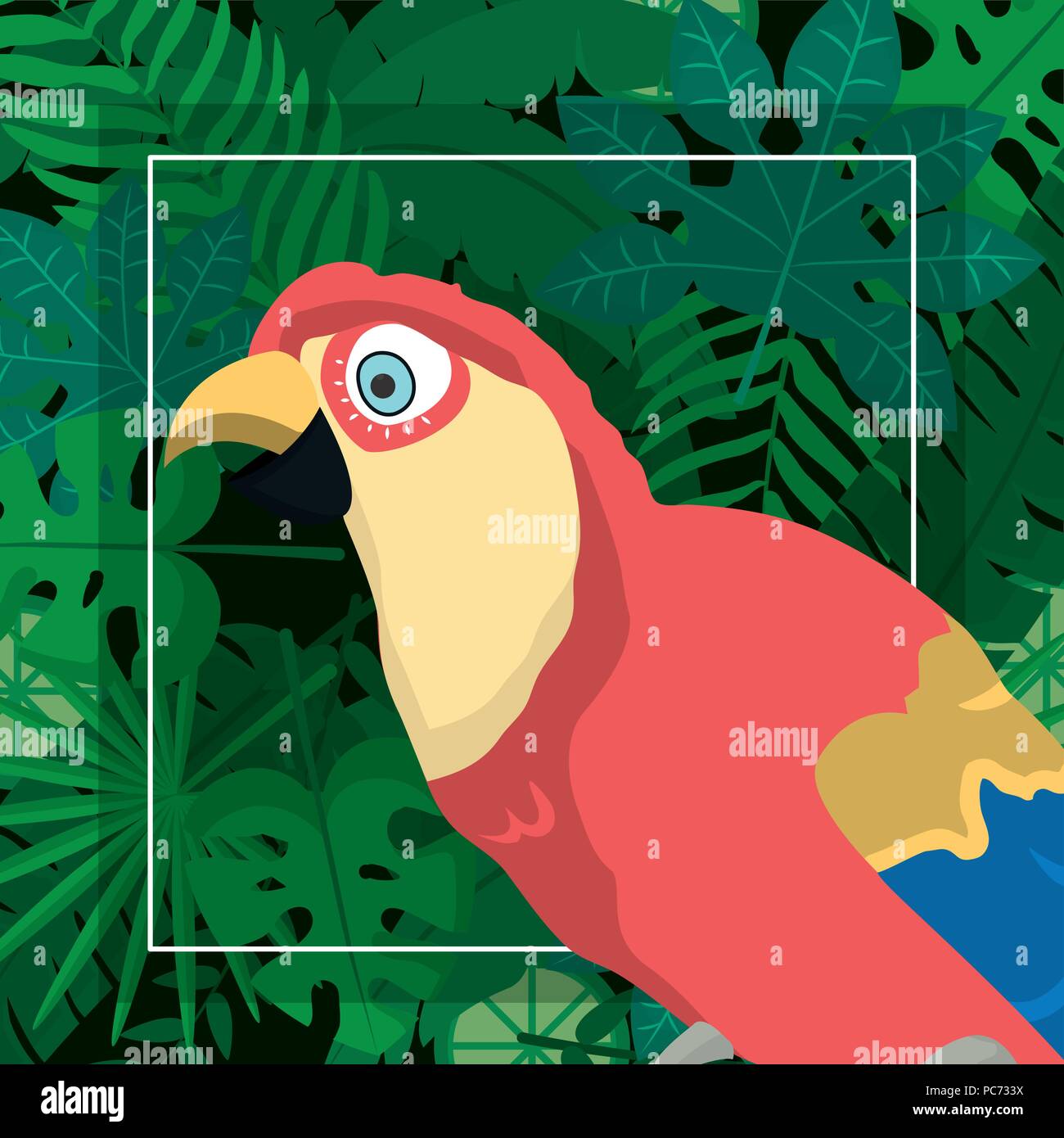 Exotic bird cartoon Stock Vector Image & Art - Alamy