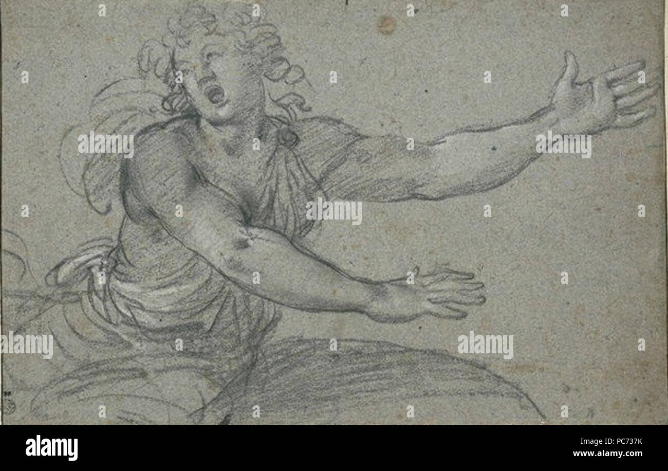 62 Medusa - Camerino Farnese Stock Photo - Alamy