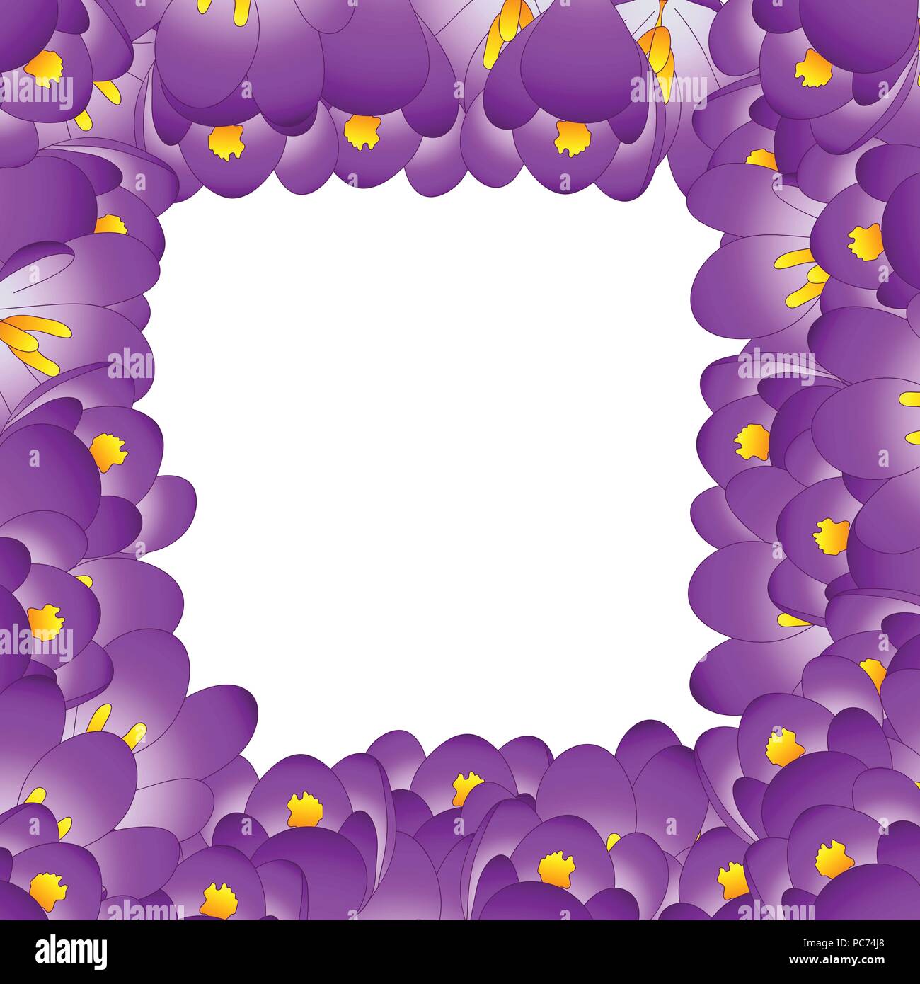 Purple Flower Border Line