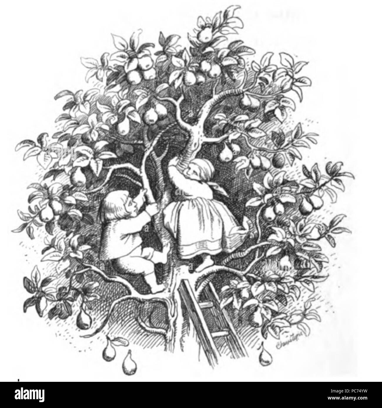 Hansel Black and White Stock Photos & Images - Alamy