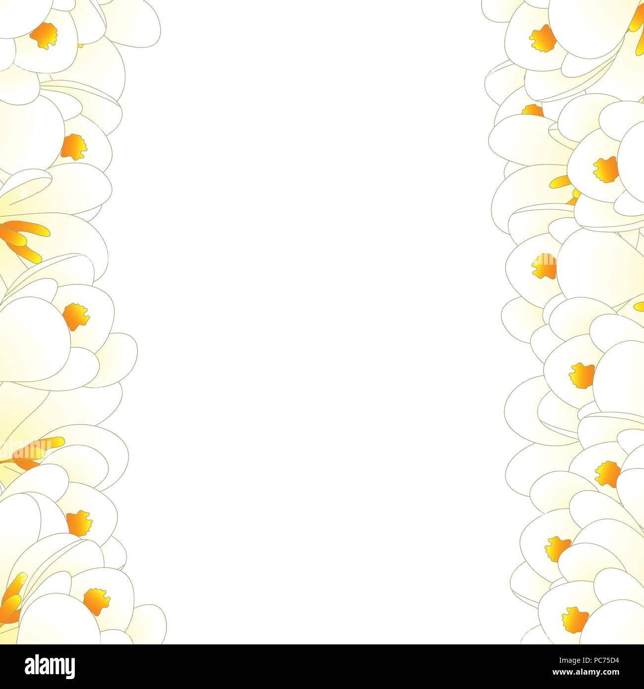 White Crocus Flower Border. Vector Illustration Stock Vector Image ...