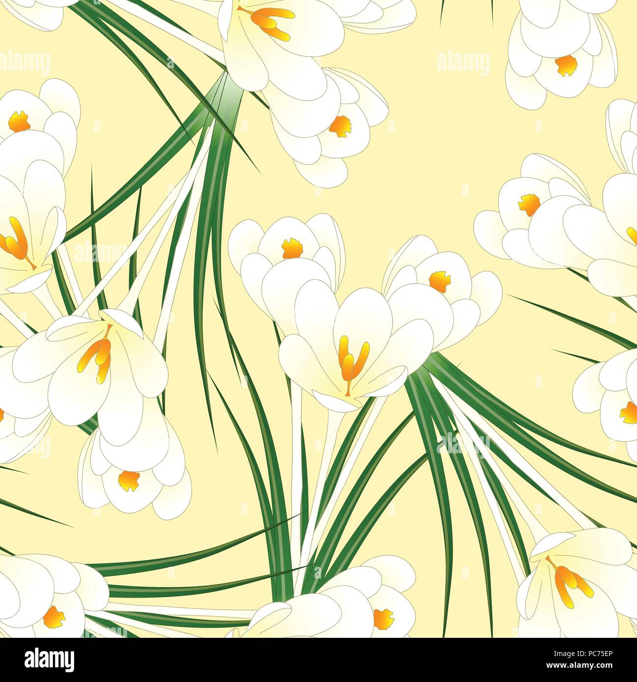 White Crocus Flower on Beige Ivory Background. Vector Illustration ...