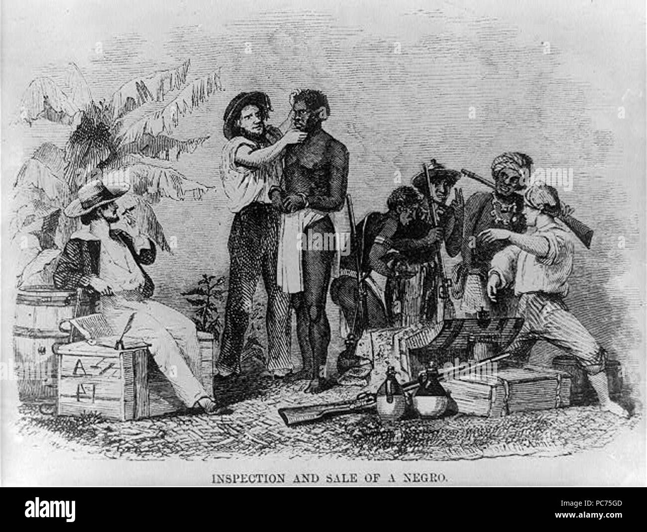 87 The inspection and sale of a slave Stock Photo - Alamy