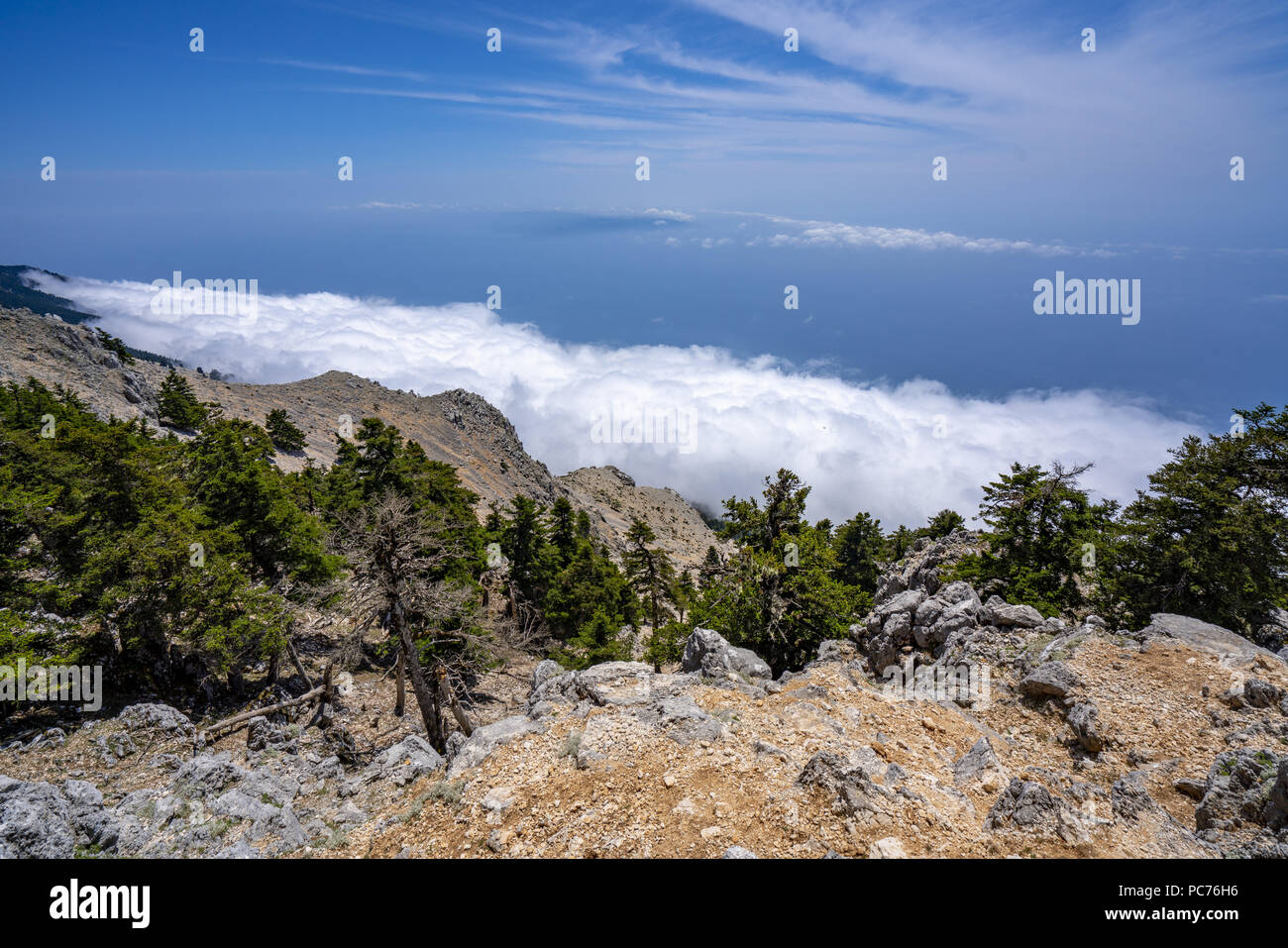 Ainos national park hi-res stock photography and images - Alamy