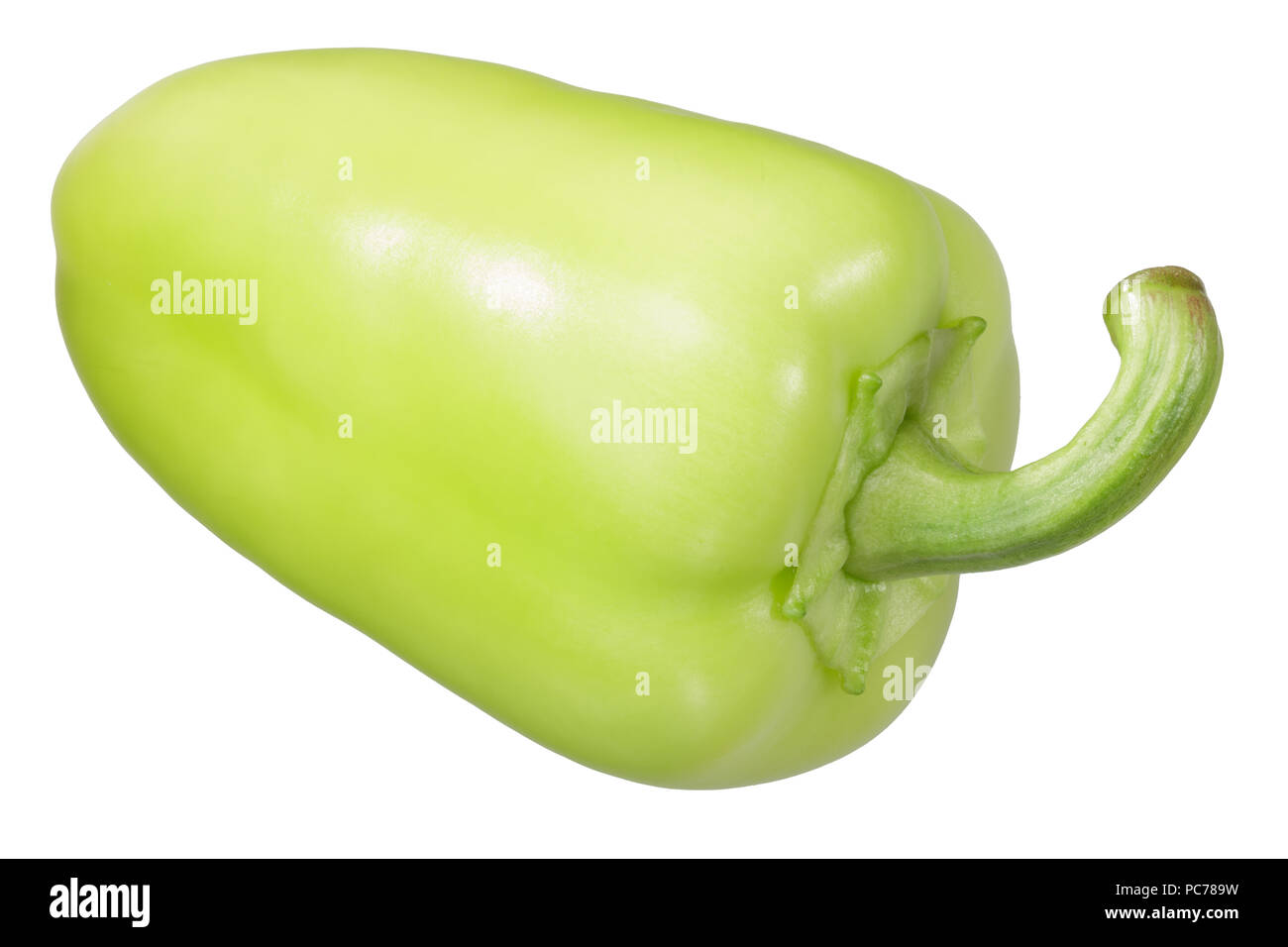 Pale green bell pepper Capsicum annuum whole pod Stock Photo Alamy