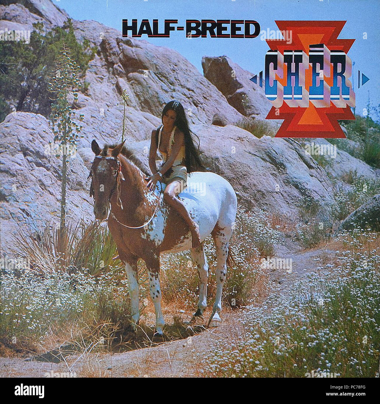 Cher - Half Breed - Vintage vinyl album cover Stock Photo - Alamy