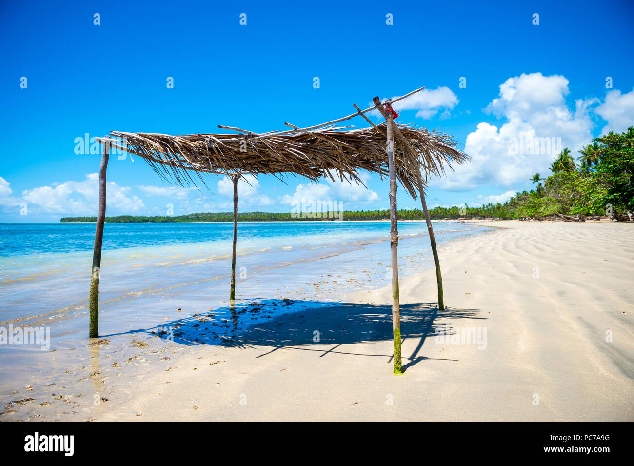 Rustic palm frond and tree branch palapa umbrella waiting to shade ...