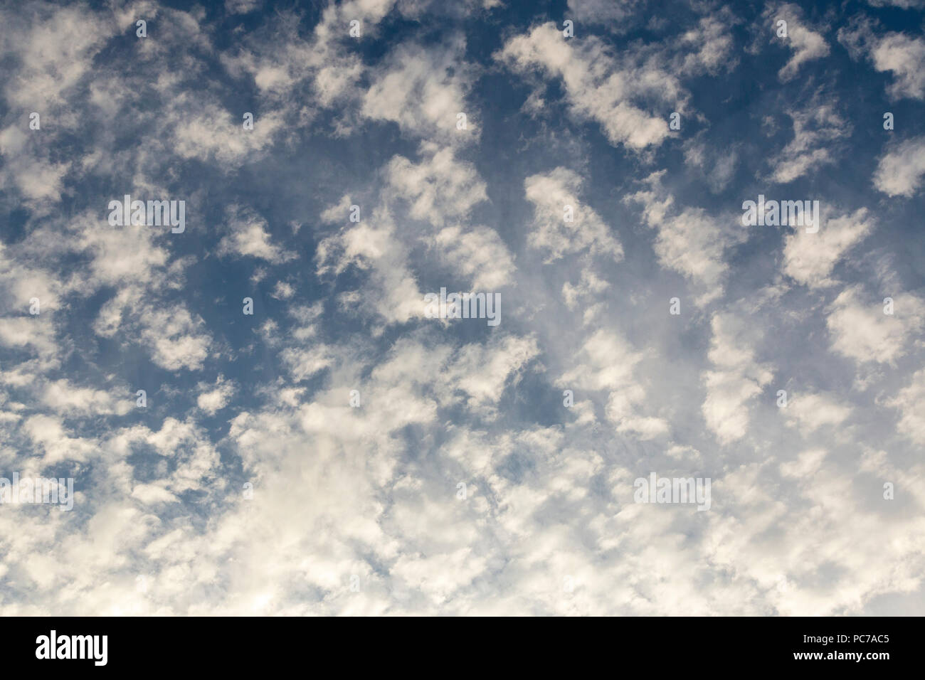 Cirrocumulus Cloud Just Before Sunset Stock Photo - Alamy