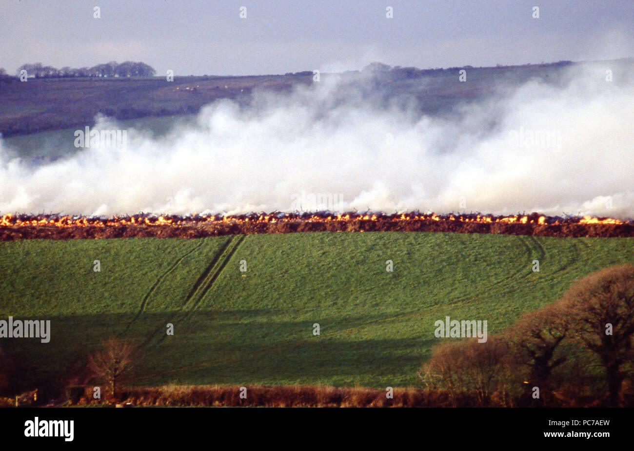 Disease outbreak fmd farm 2001 uk hi-res stock photography and images ...