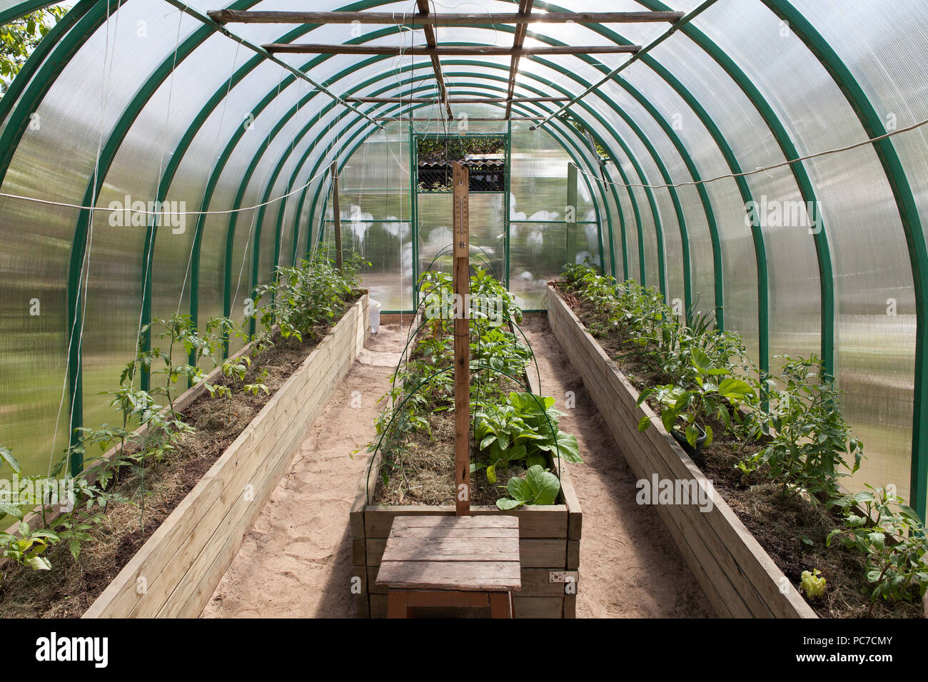 Greenhouse temperature hi-res stock photography and images - Alamy