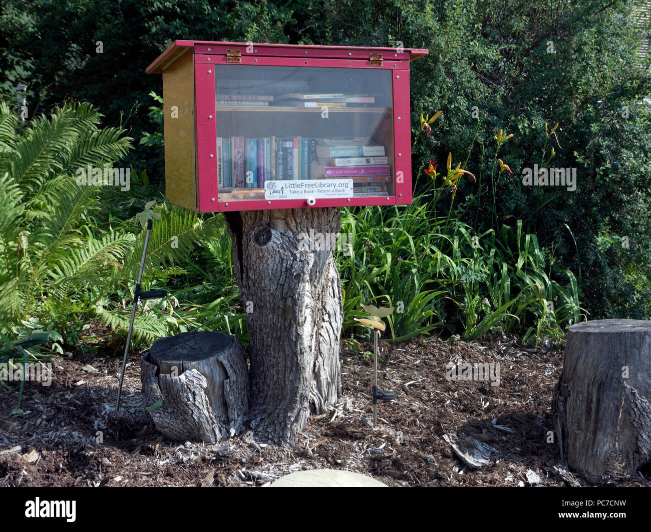 Neighborhood Library, or Little Free Library book exchange, Whitelaw ...