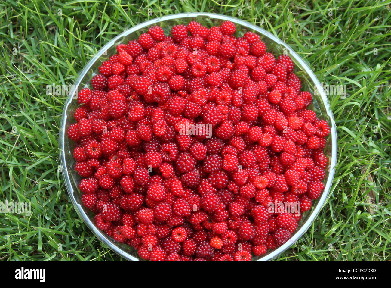 Wineberries hi-res stock photography and images - Alamy