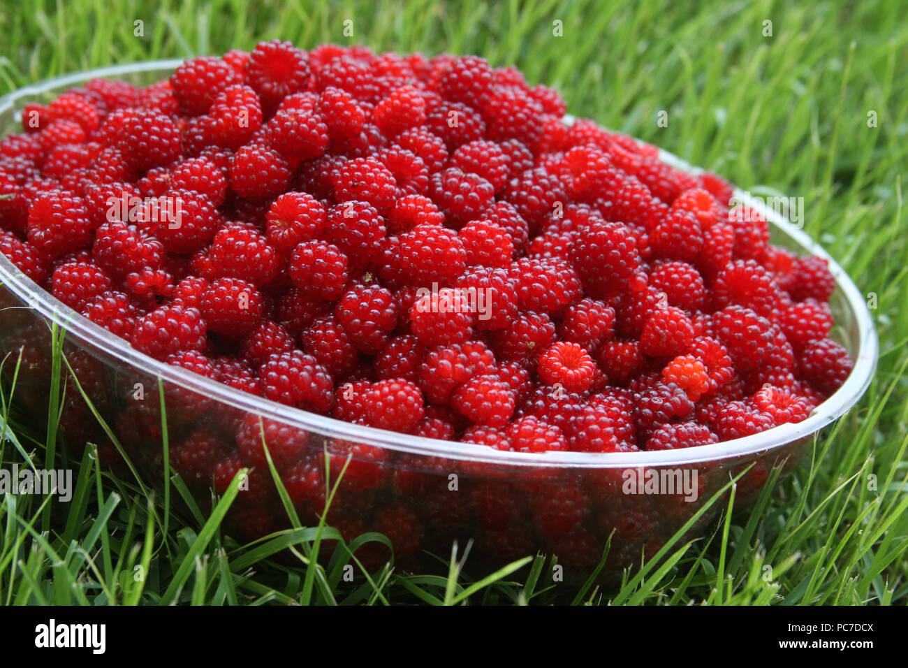 Wineberries hi-res stock photography and images - Alamy