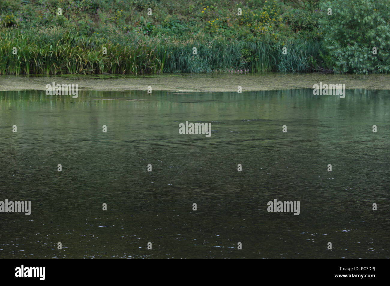 Distinctive mark hi-res stock photography and images - Alamy