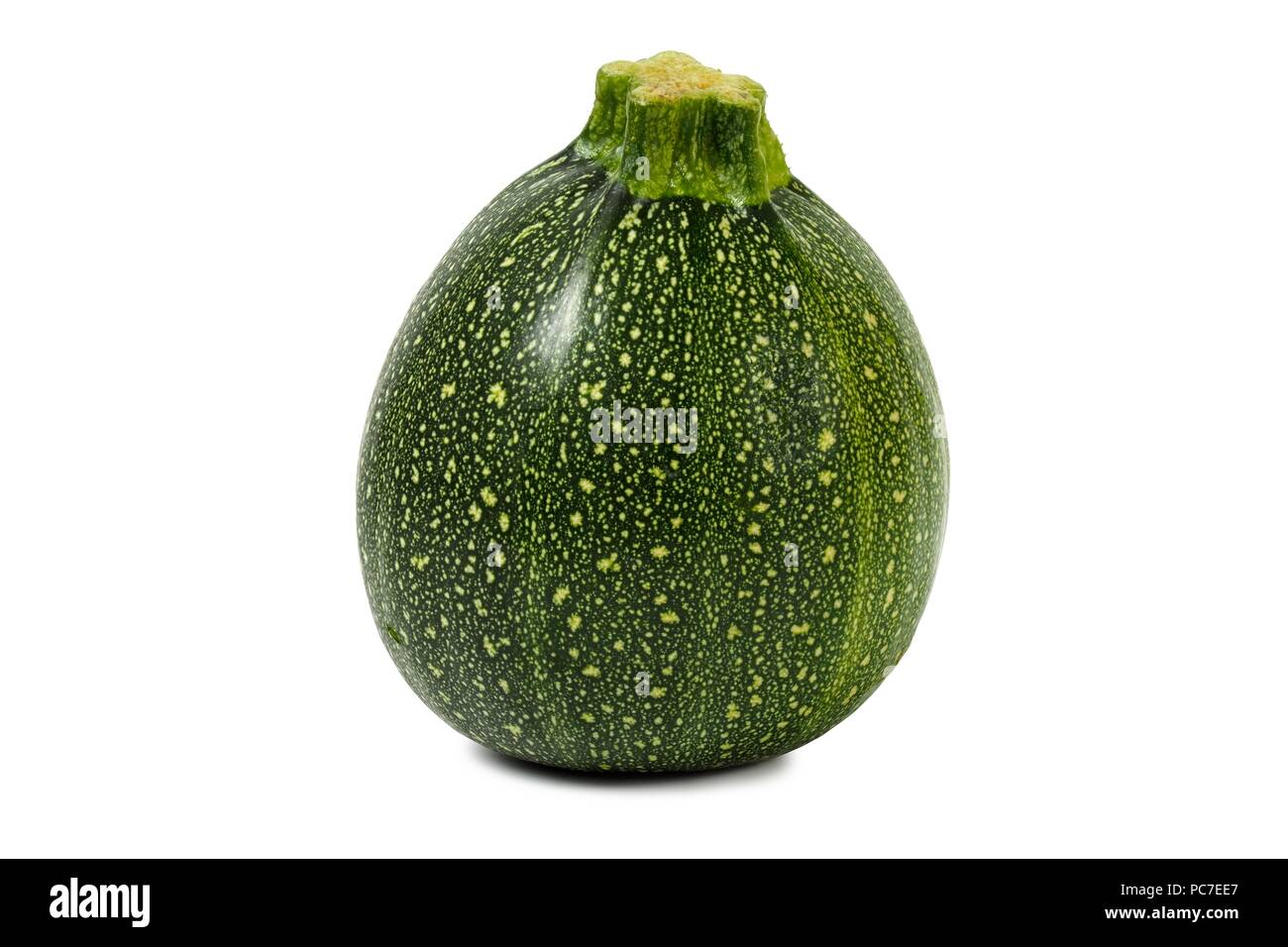 Round zucchini on white background Stock Photo - Alamy