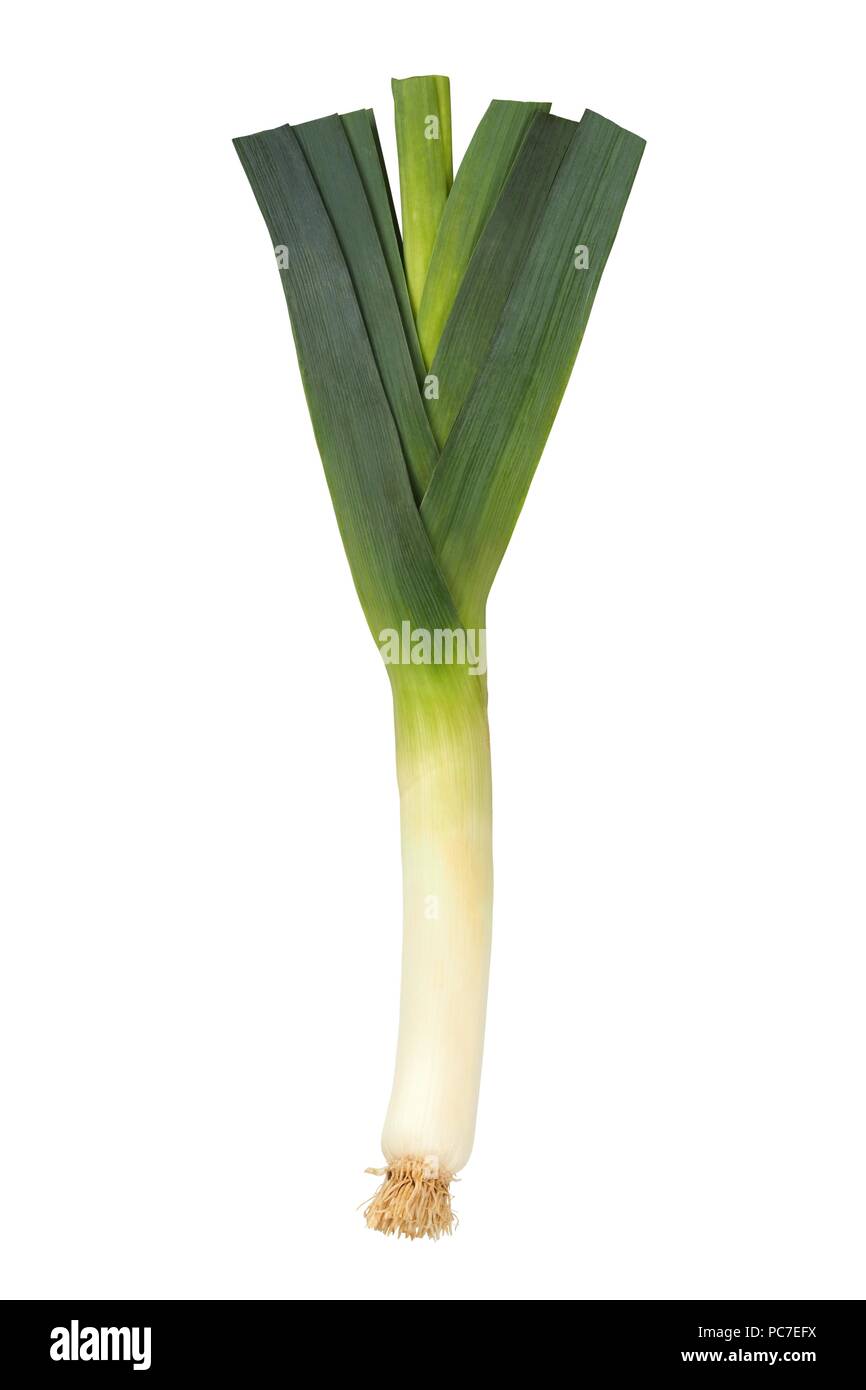 Leek isolated on white background Stock Photo - Alamy