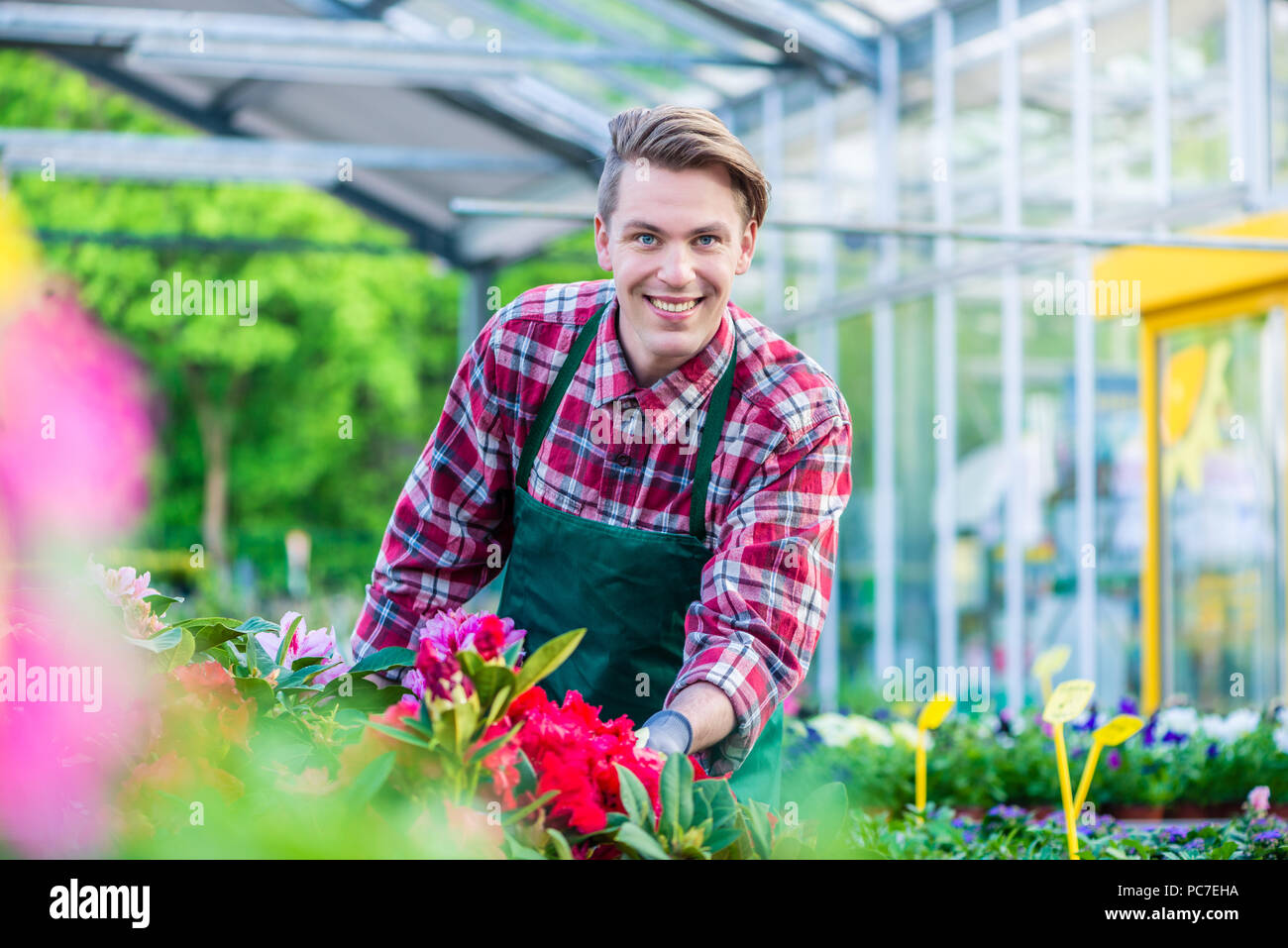 Handsome young man smiling happy while working as florist Stock Photo ...