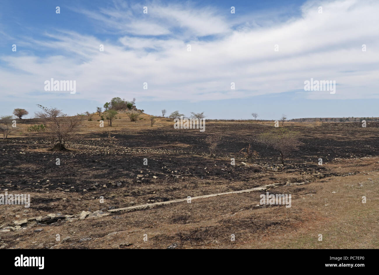 pasture burning, burnt area Madagascar October Stock Photo - Alamy