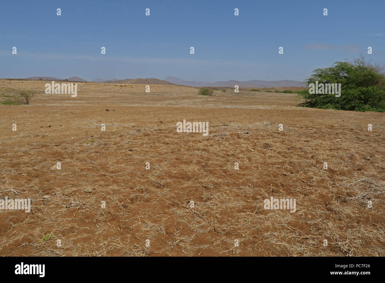 dry sandy plain during drought Santiago Island Cape Verde April Stock ...