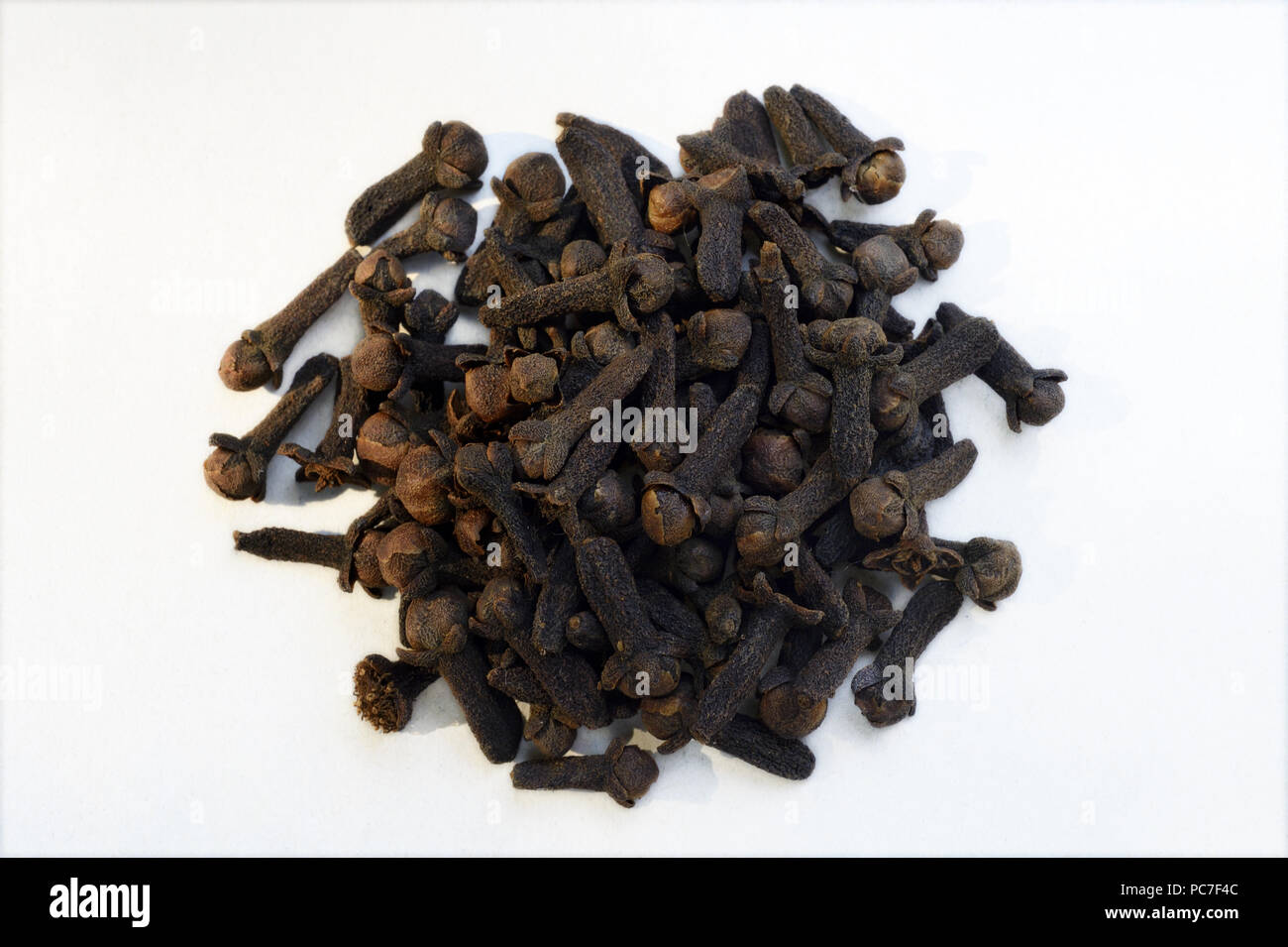 Indian spice- Clove (Syzygium aromaticum) dried flowerbuds placed on ...