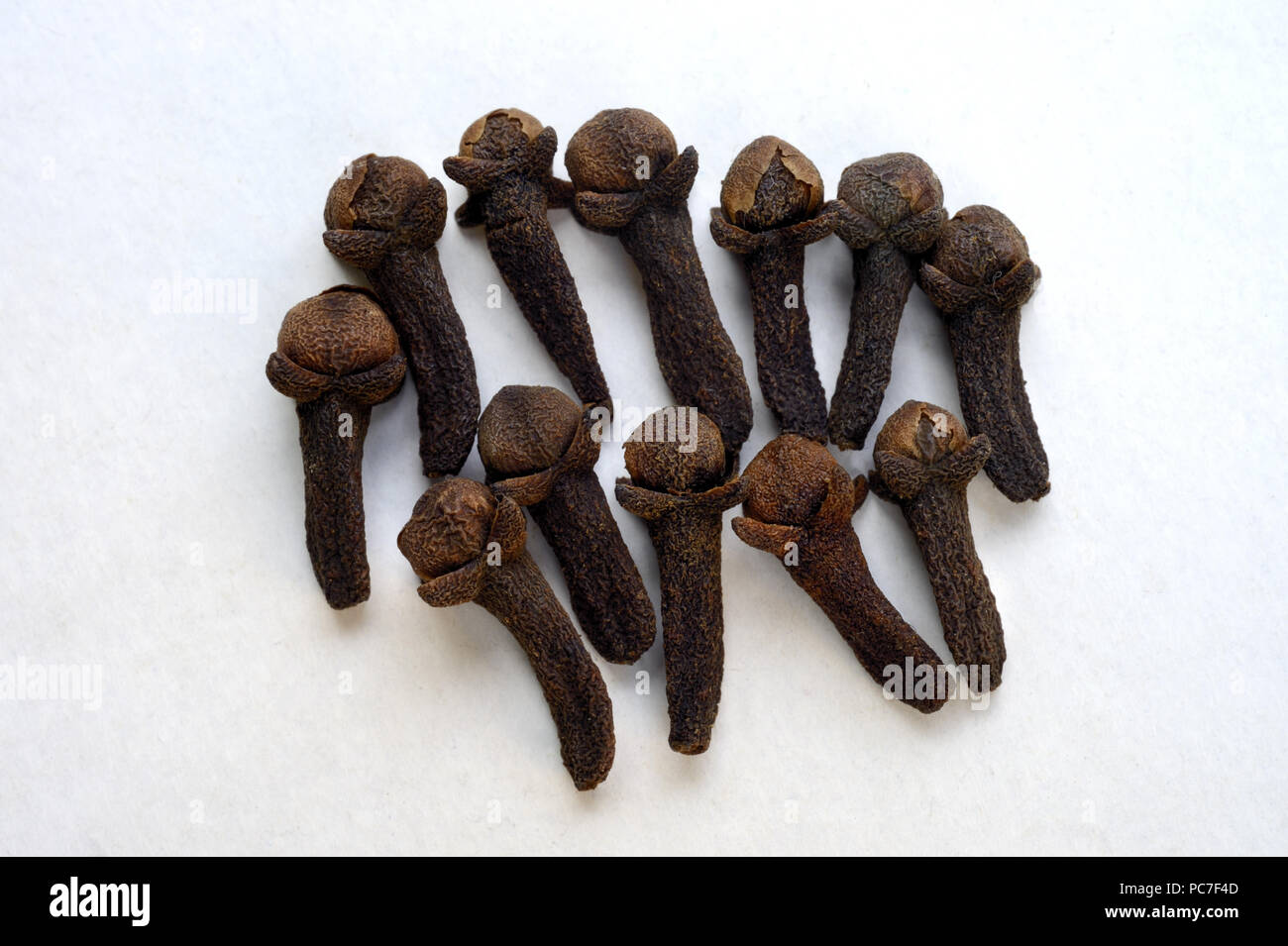 Indian spice- Clove (Syzygium aromaticum) dried flowerbuds placed on ...