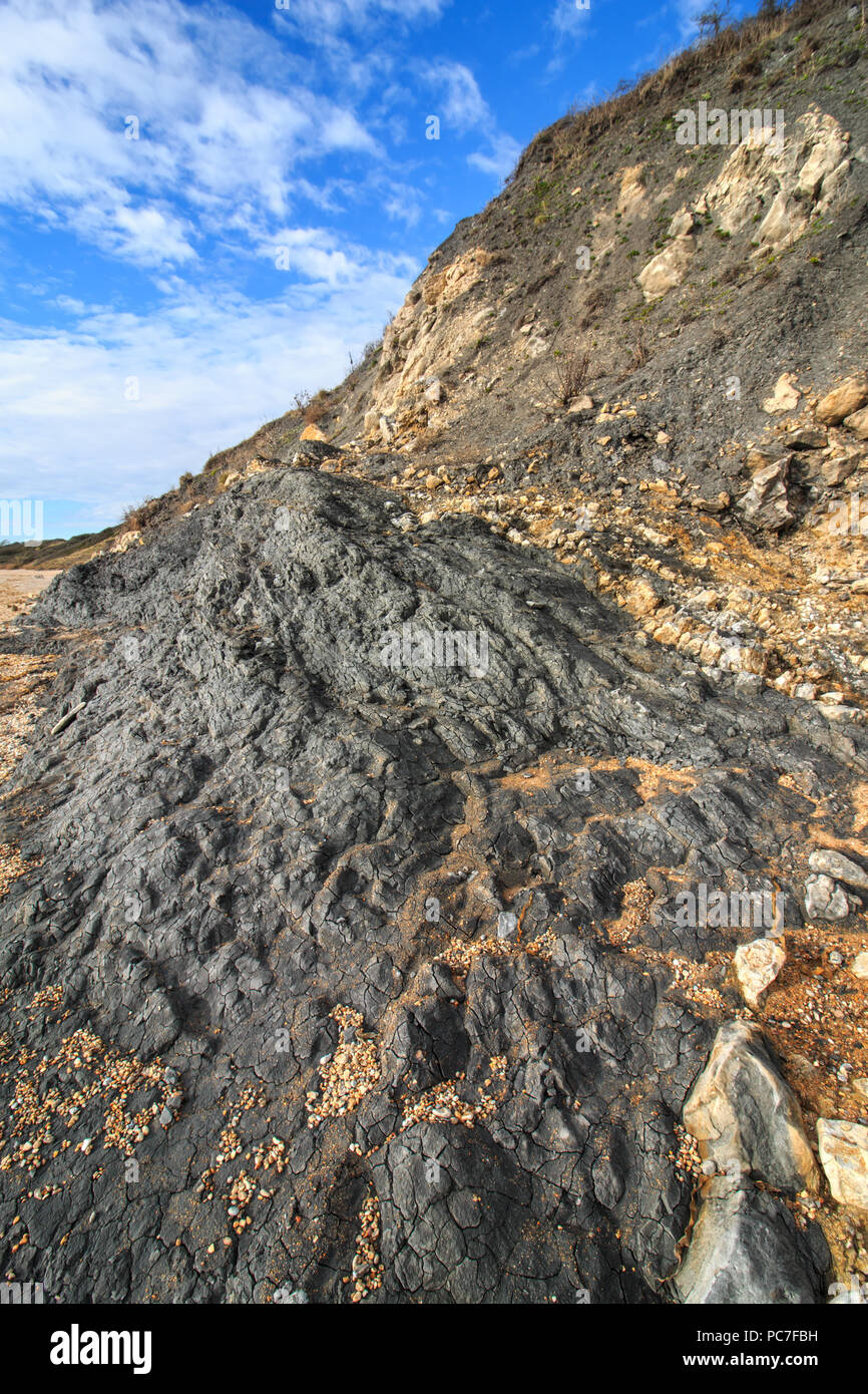 Outcrop of soft Kimmeridge Clay rich in fossils recently exposed by ...