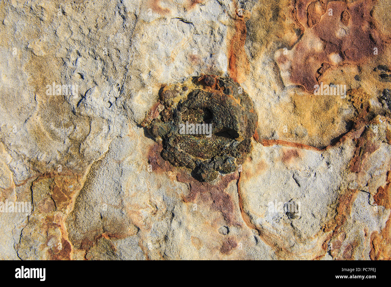 Iron nodule in limestone rock, Osmington, Dorset, England Stock Photo ...