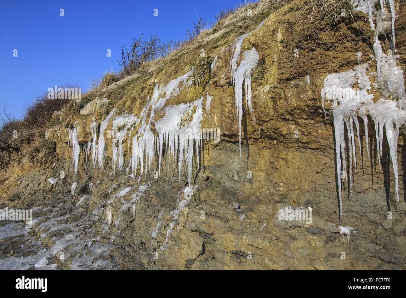 Icicles hanging from frozen cliff waterfalls Osmington Mills, Dorset ...