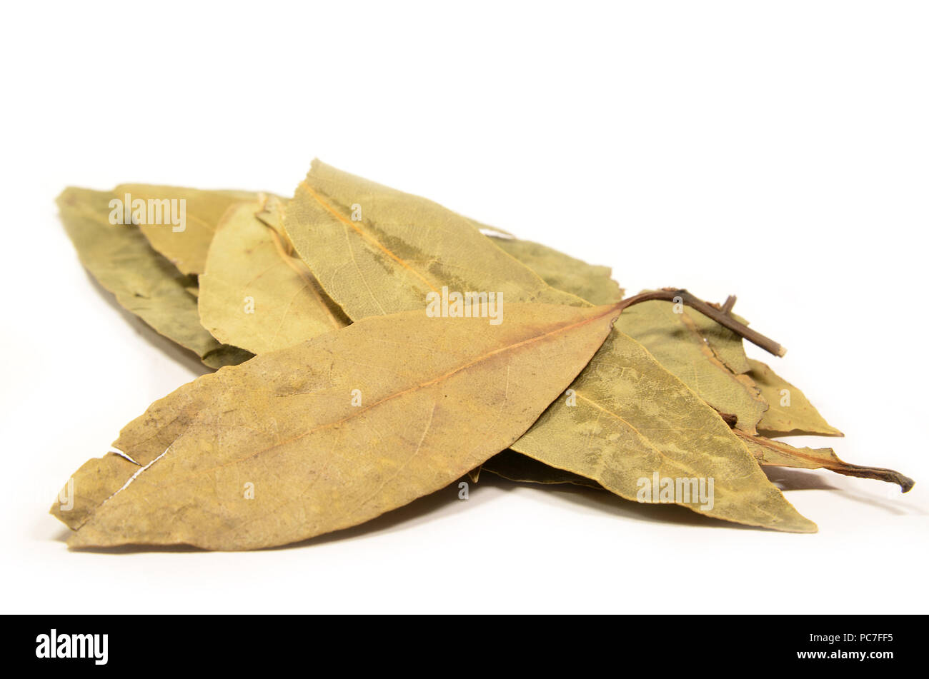 Dried bay leaves isolated on white background Stock Photo - Alamy