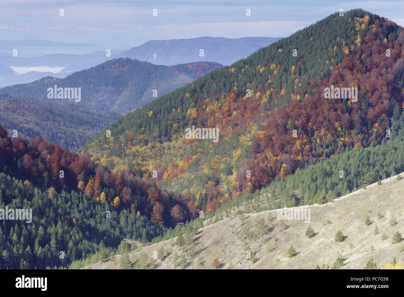 Serbian colours hi-res stock photography and images - Alamy