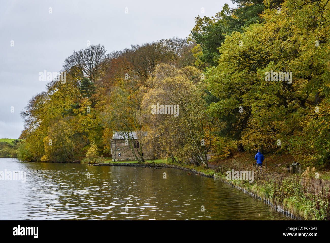 Dull weather and rain at Talkin Tarn near Brampton, Cumbria, England ...