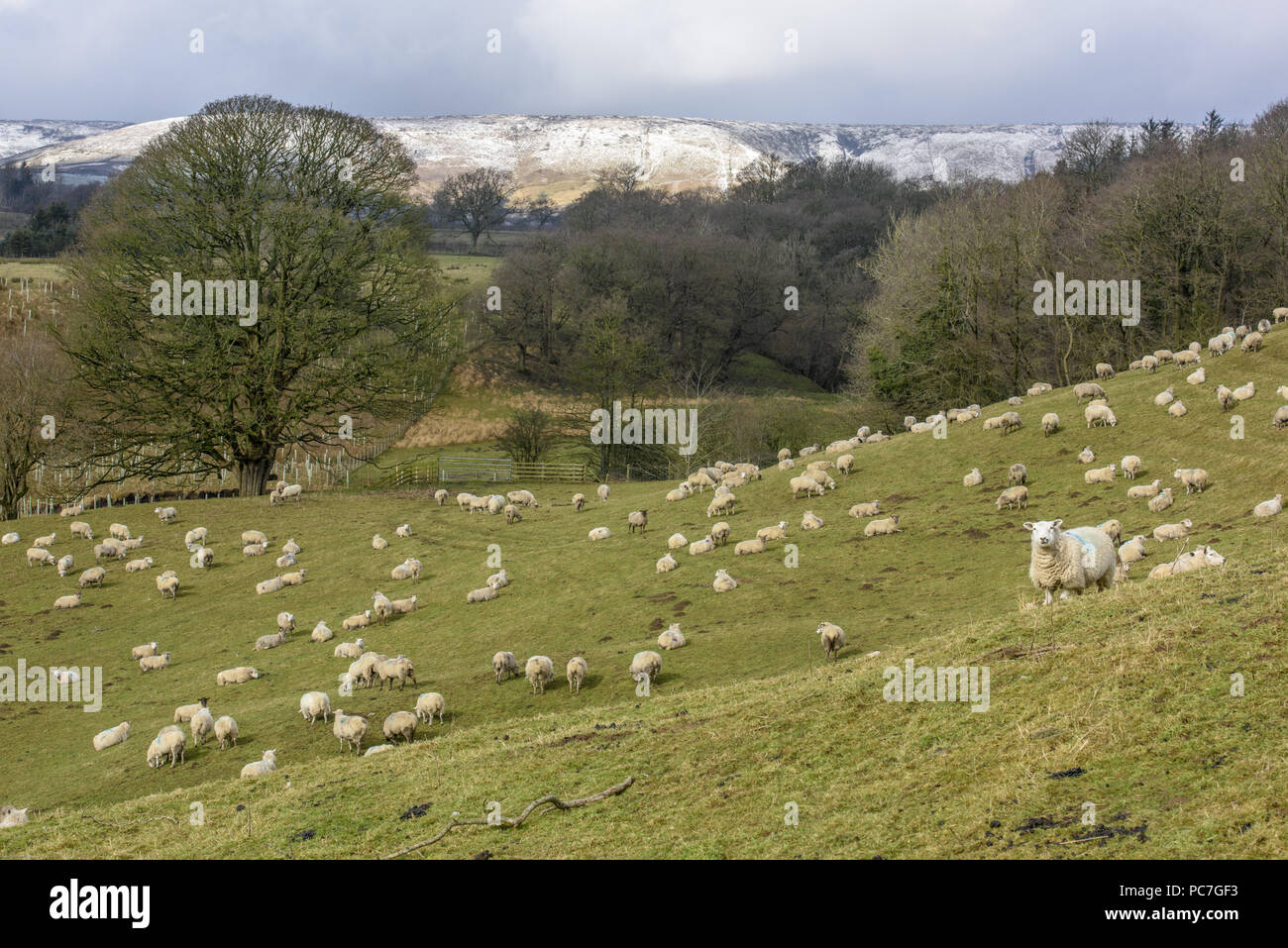 Clitheroe beauty hi-res stock photography and images - Alamy