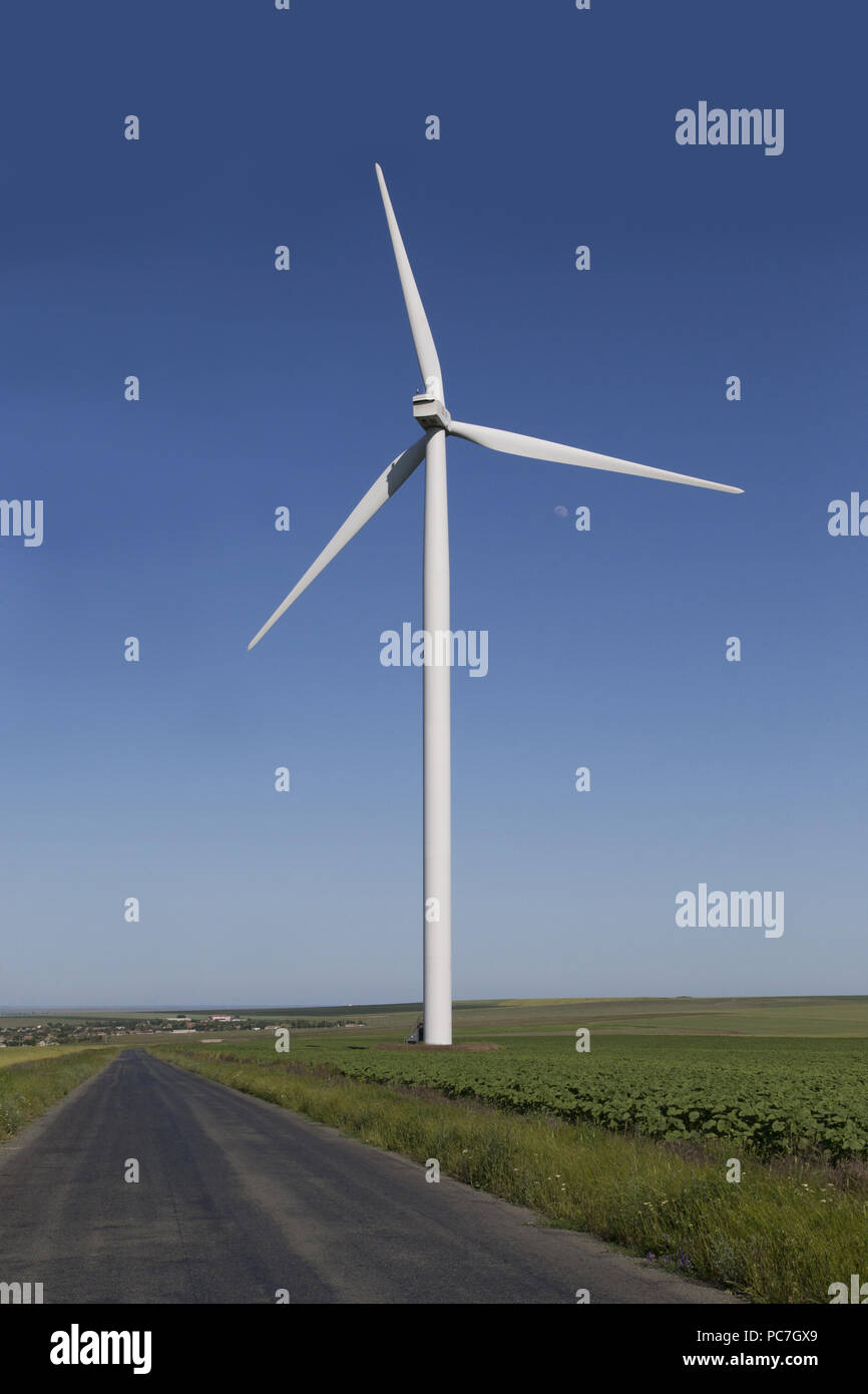 Wind turbine, Fantanele-Cogealac Wind Farm, Romania, June Stock Photo ...