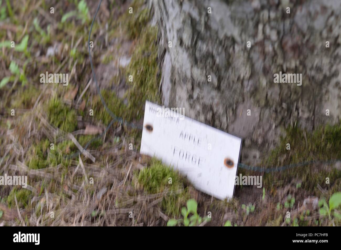 Apple forge hi-res stock photography and images - Alamy