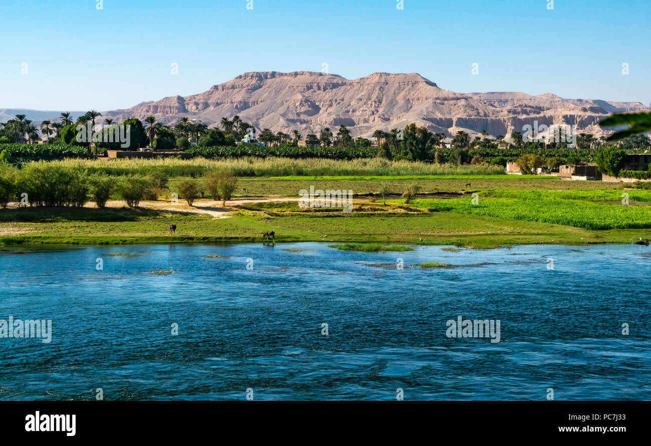 Scenic view across the Nile River and agricultural fields towards ...