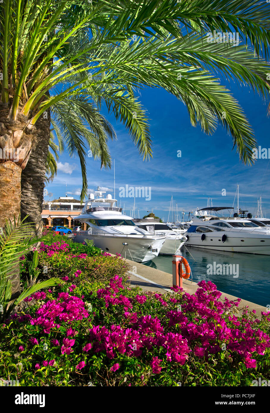 PUERTO PORTALS MARINA MALLORCA Luxury Lifestyle motor yachts moored at ...