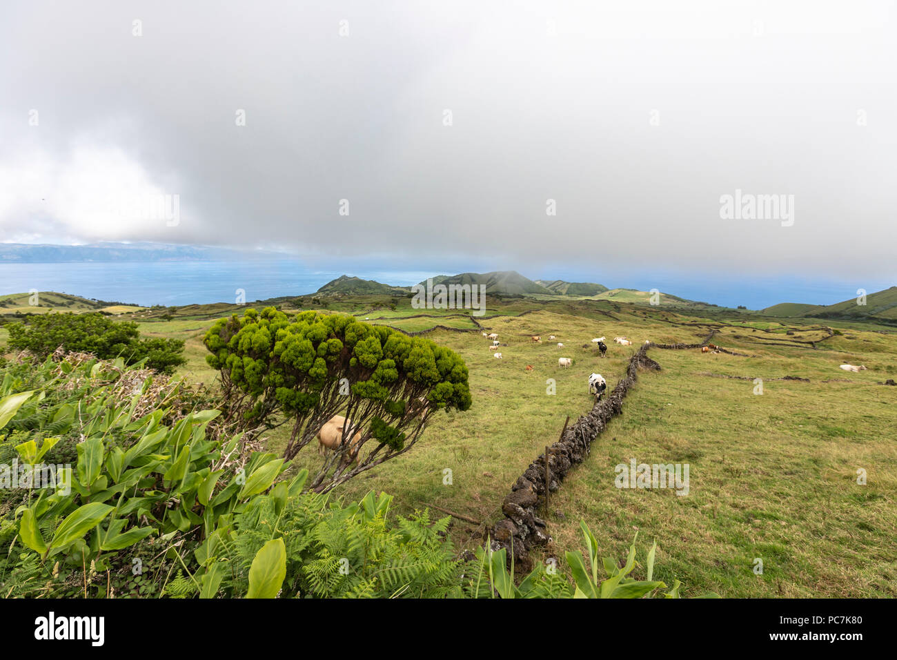 Pico island highlands hi-res stock photography and images - Alamy