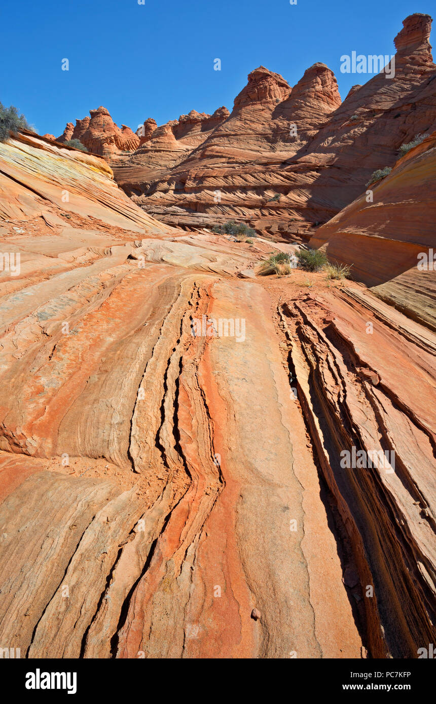 Red cross section patterns hi-res stock photography and images - Alamy