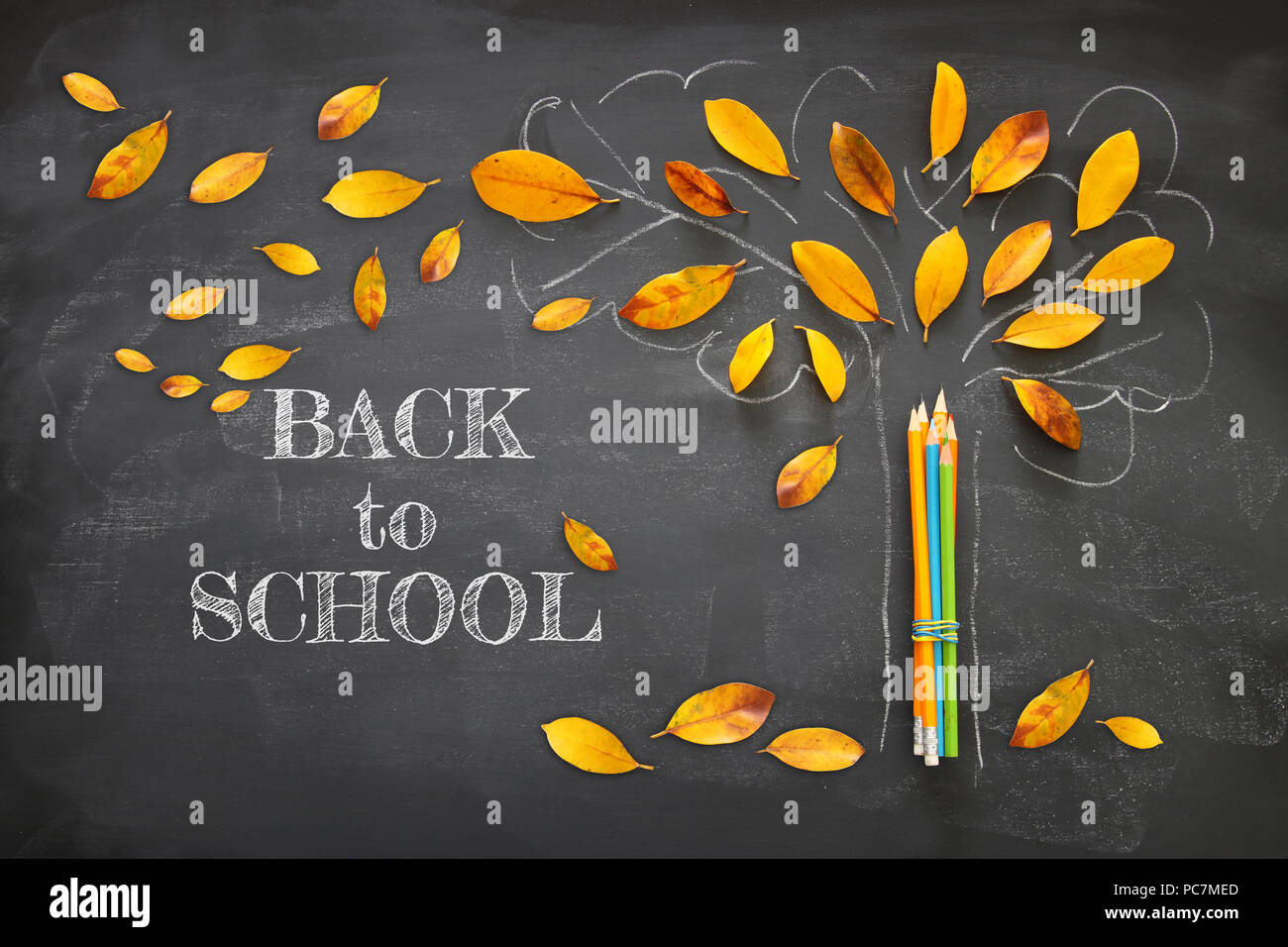 Back to school concept. Top view image of pencils next to tree sketch ...