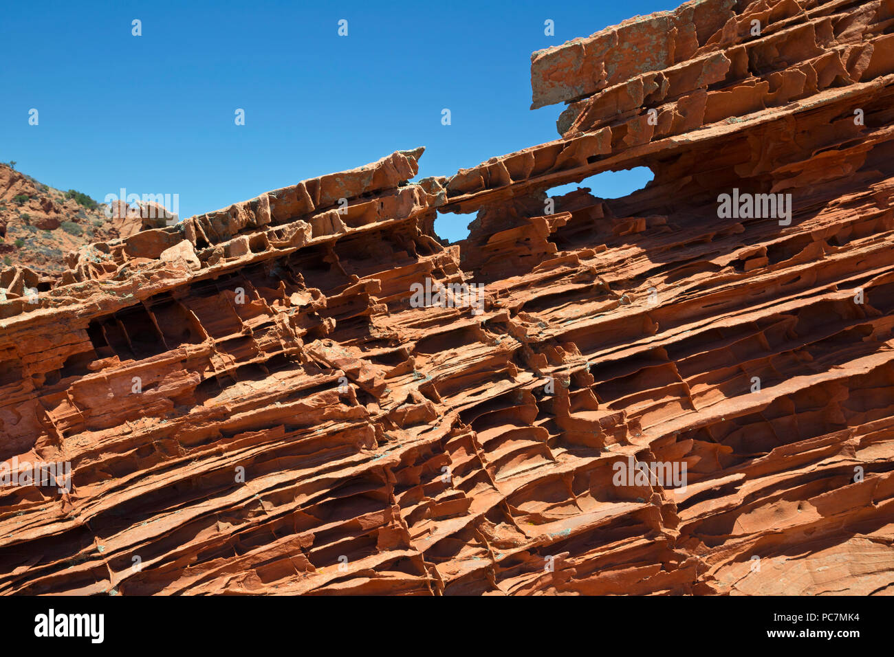 Boxwork texture hi-res stock photography and images - Alamy