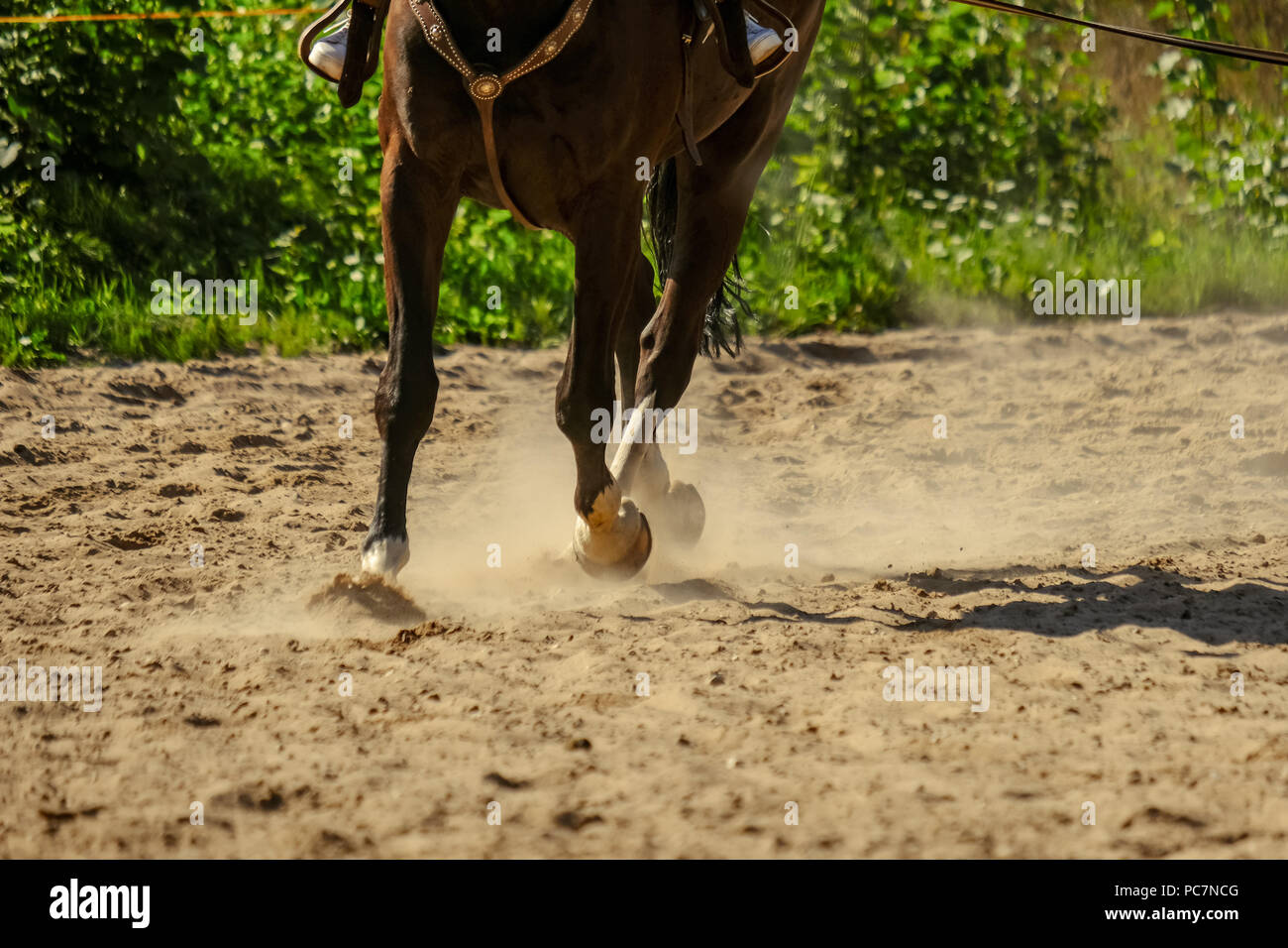 Hoof stomp hi-res stock photography and images - Alamy