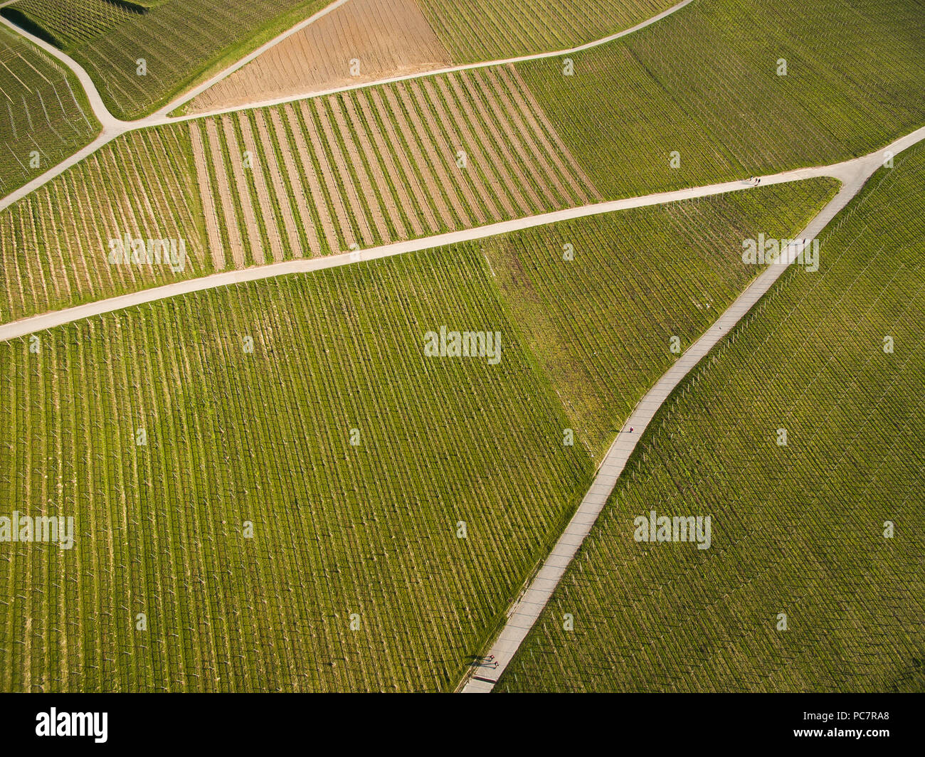 Aerial view of green field with roads, Germany Stock Photo - Alamy