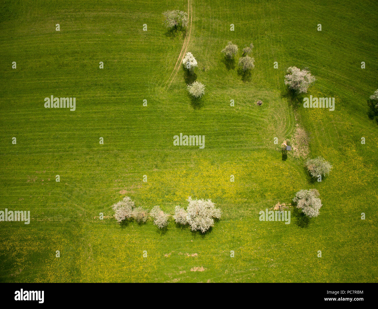 Aerial view of scenery landmark with green field with trees, Germany ...