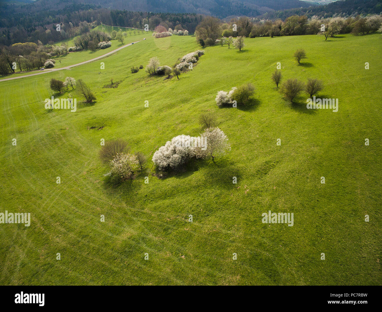Aerial view of green hills with trees, Germany Stock Photo - Alamy