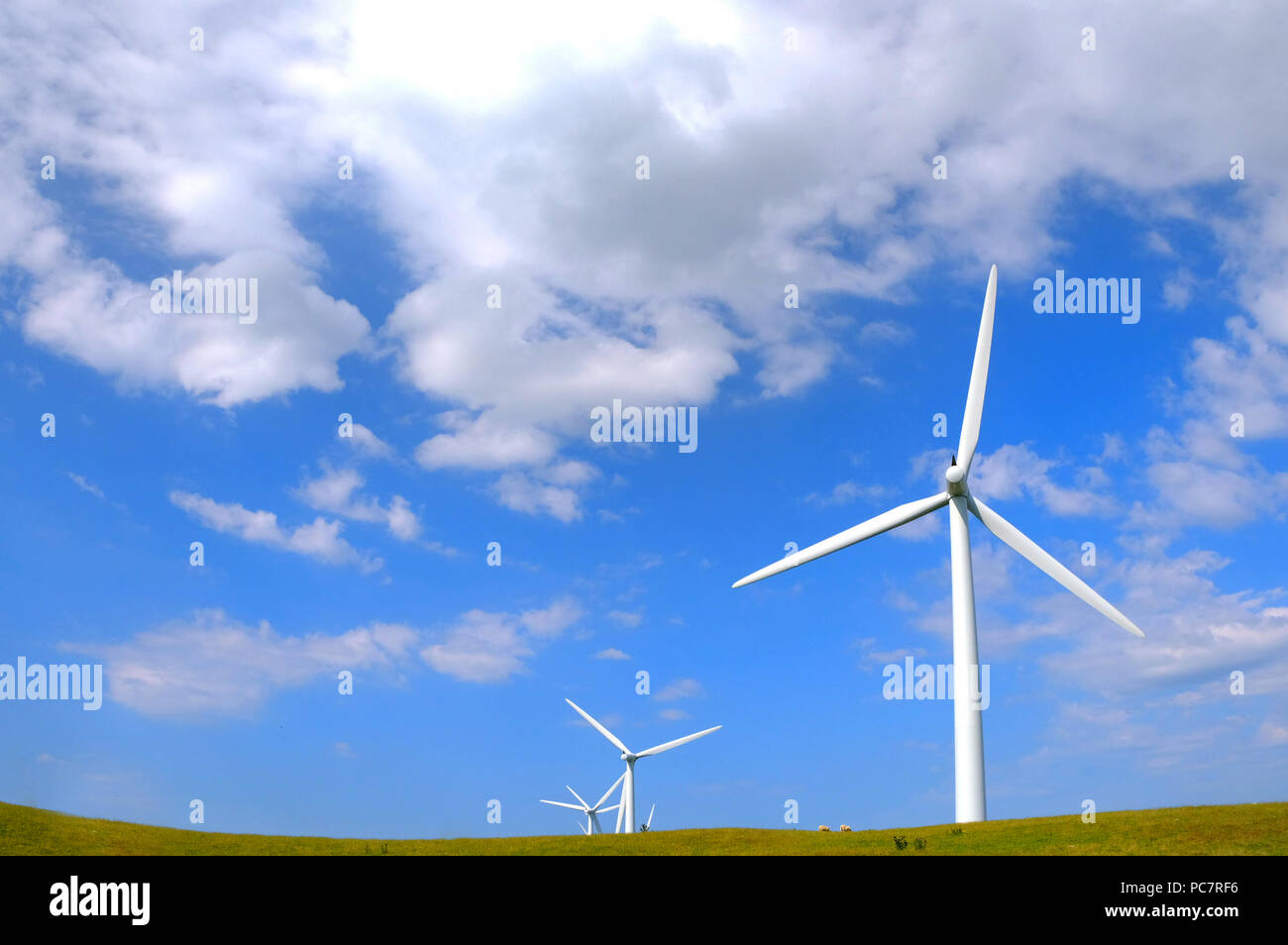 Wind turbines against a blue sky in North Wales Stock Photo - Alamy
