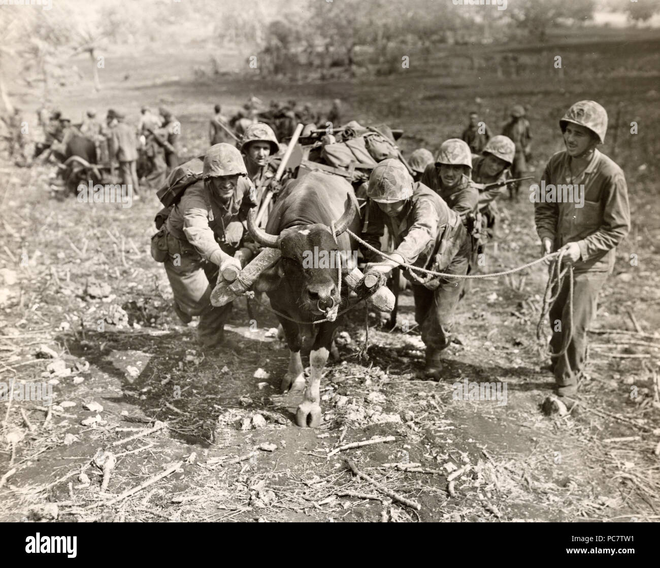 World war ii marines fighting hi-res stock photography and images - Alamy