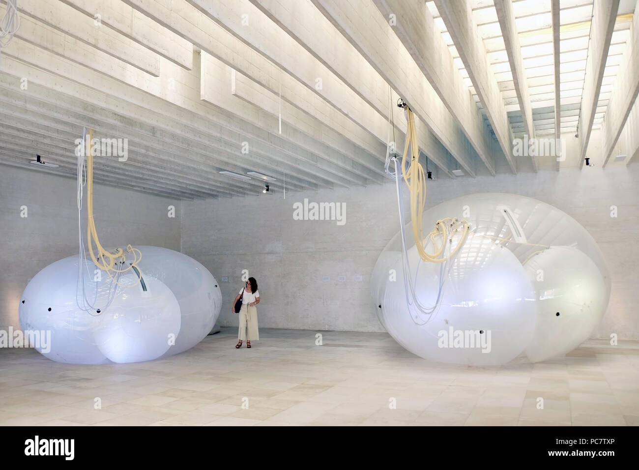 Environmental exhibition hall hi-res stock photography and images - Alamy