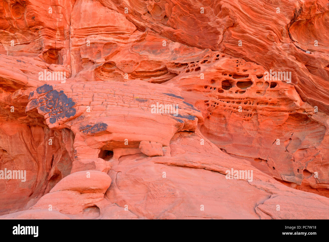 Weathered red rocks formations in the desert, Valley of Fire State Park ...