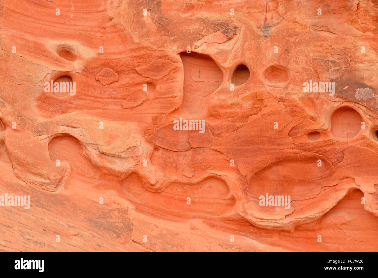 Weathered red rock formations in the desert, Valley of Fire State Park ...